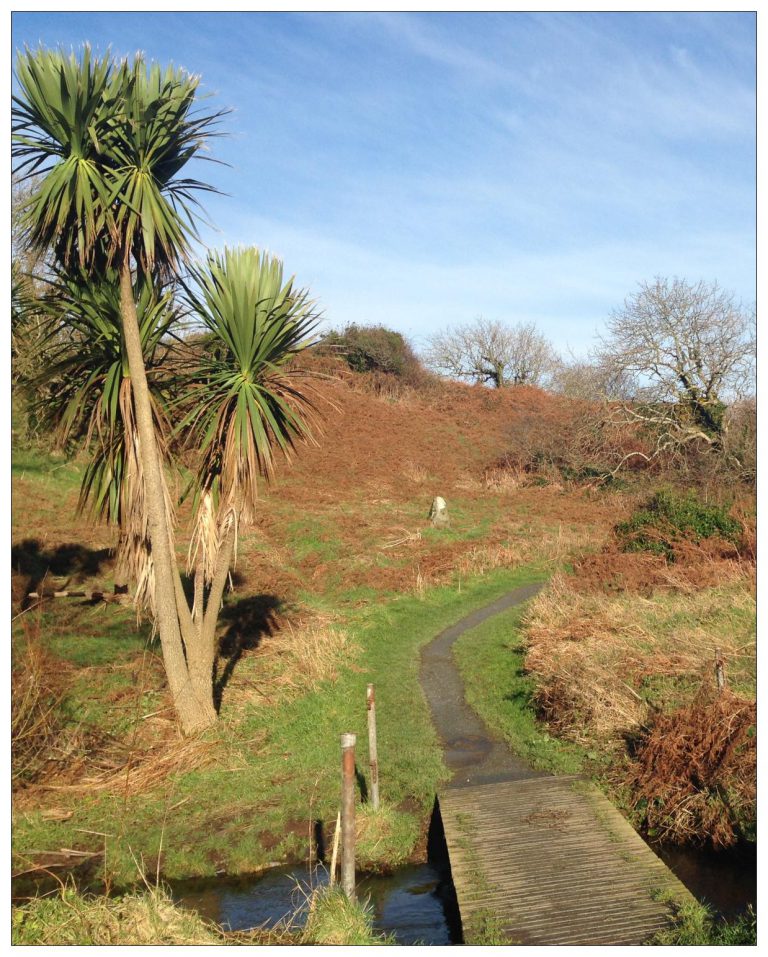 Orlock Point to Bangor | Grand Day Out (NI)
