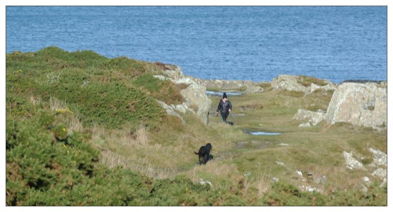 Orlock Point to Bangor | Grand Day Out (NI)