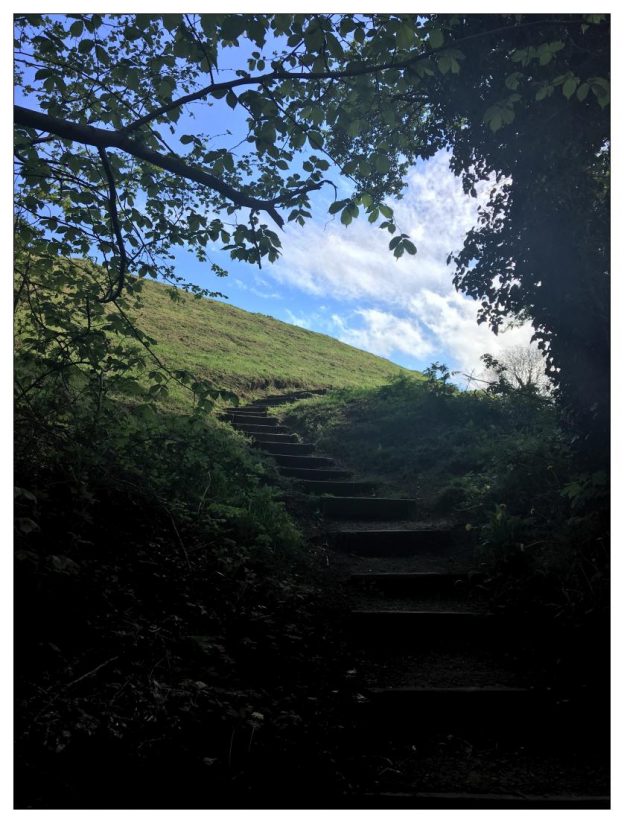 Somerset Forest and Mountsandel Fort | Grand Day Out (NI)