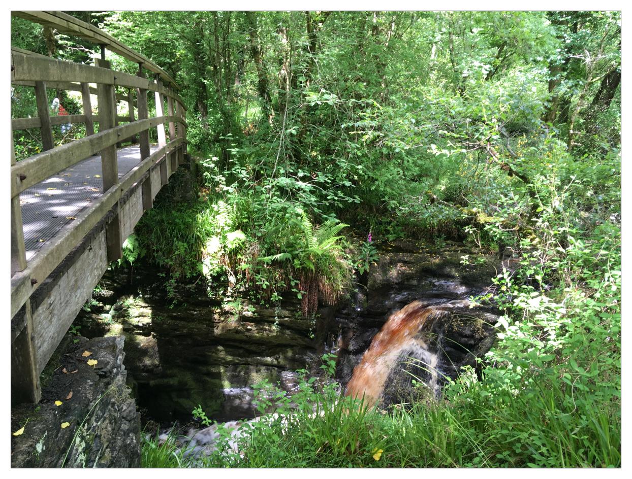 Ness Falls from the Country Park Visitor Centre | Grand Day Out (NI)