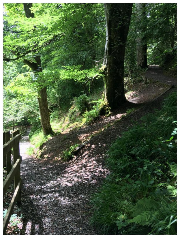 Ness Falls from the Country Park Visitor Centre | Grand Day Out (NI)