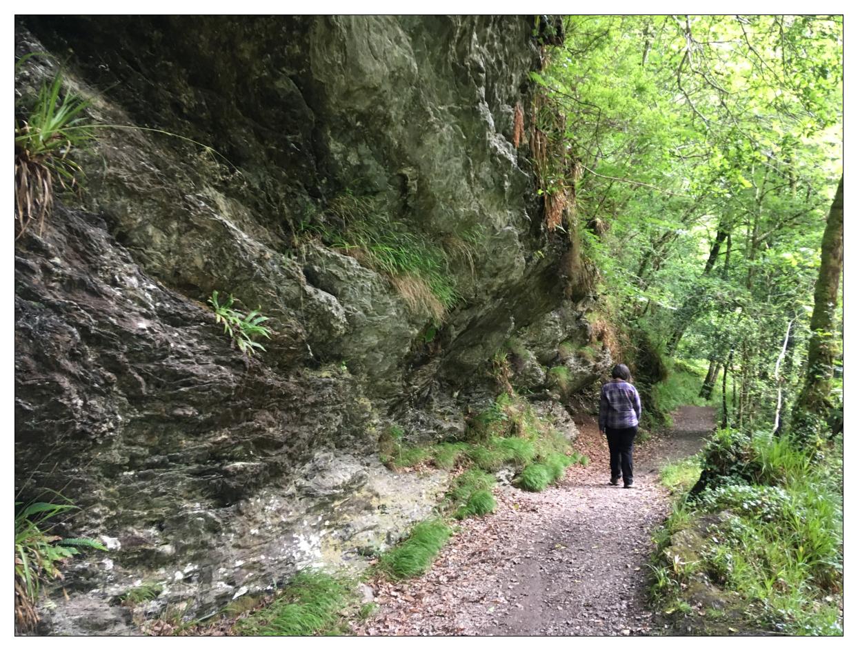 Ness Falls from the Country Park Visitor Centre | Grand Day Out (NI)