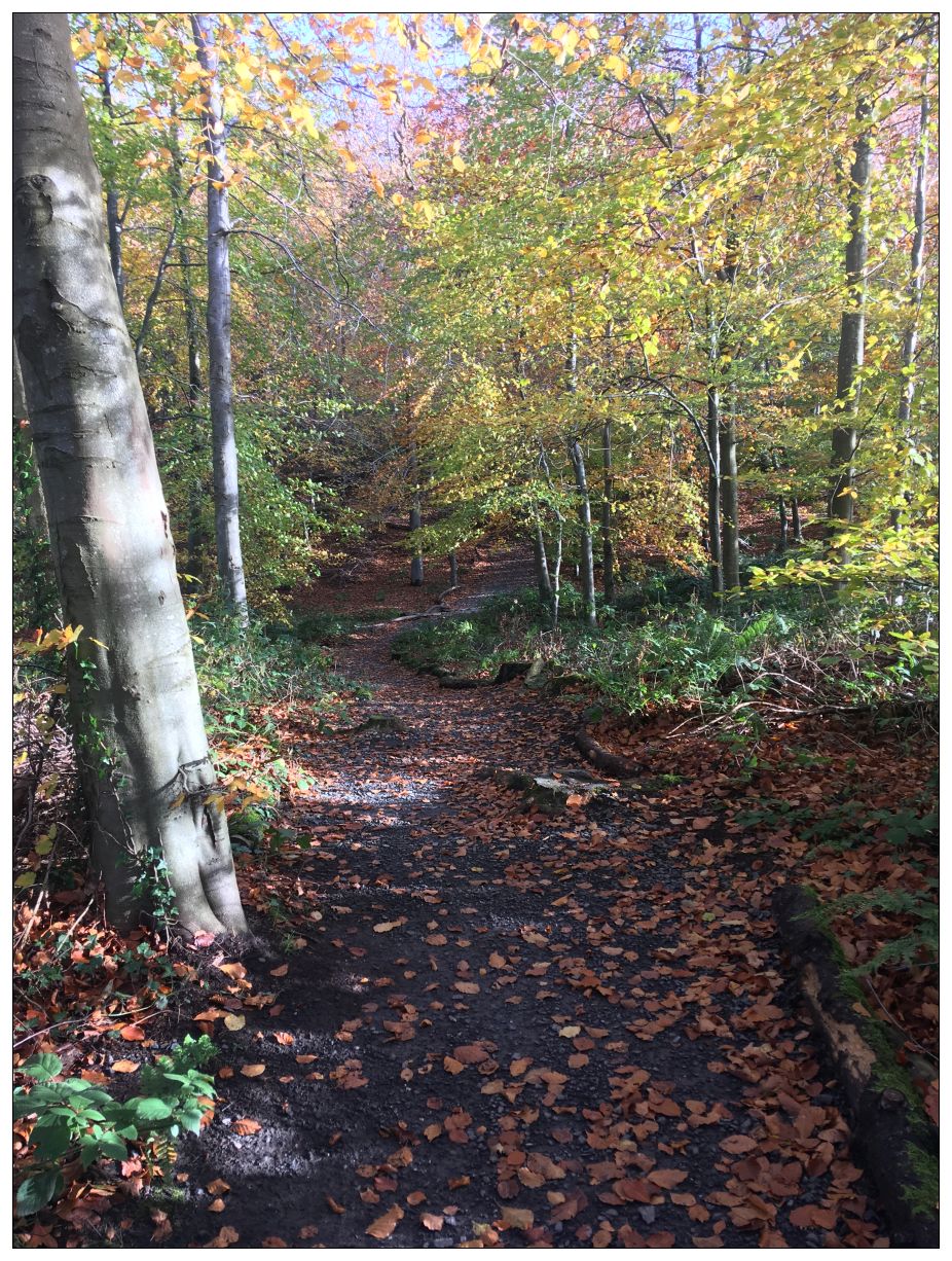 Minnowburn to the Giant’s Ring | Grand Day Out (NI)