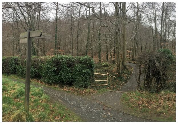 Minnowburn, Shaw’s Bridge and Edenderry | Grand Day Out (NI)