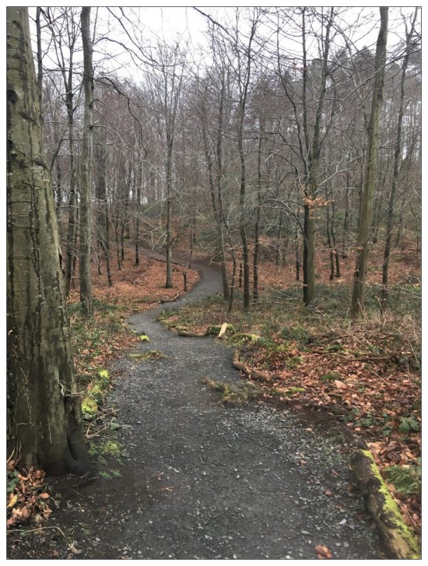 Minnowburn, Shaw’s Bridge and Edenderry | Grand Day Out (NI)