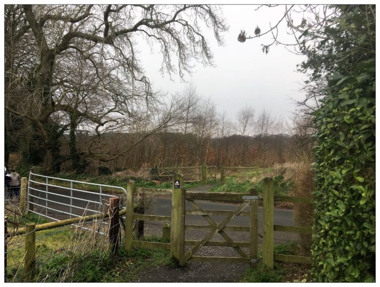 Minnowburn, Shaw’s Bridge and Edenderry | Grand Day Out (NI)