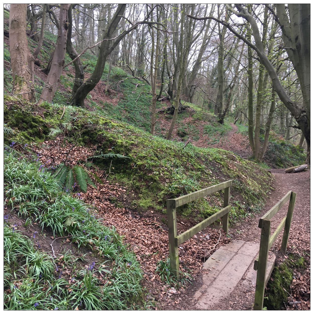 Redburn Country Park | Grand Day Out (NI)