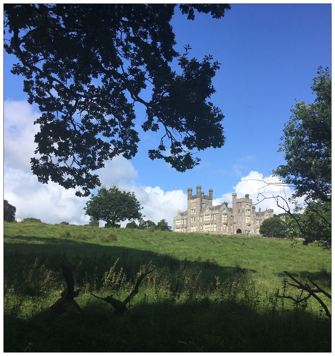 The Oaks of Crom Estate | Grand Day Out (NI)