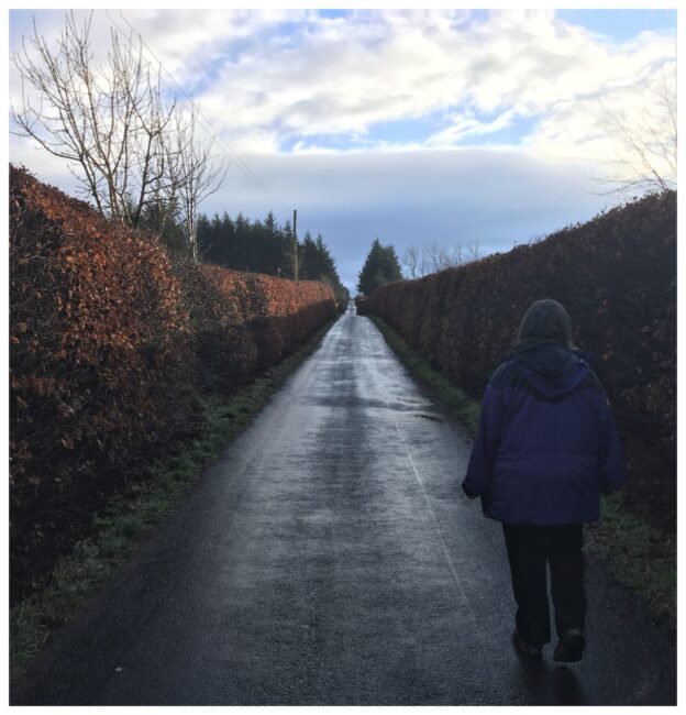 Woodburn Forest and the Knockagh Escarpment | Grand Day Out (NI)