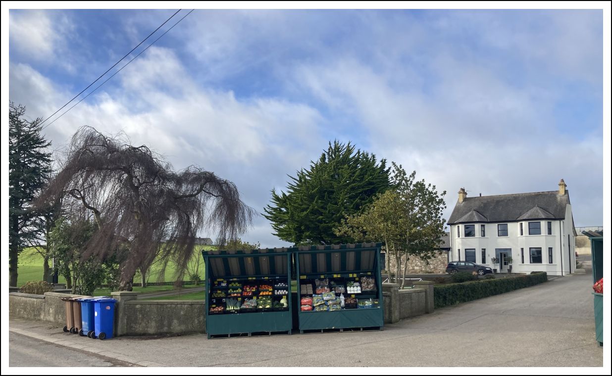 Columban Way (Comber to Newtownards) | Grand Day Out (NI)
